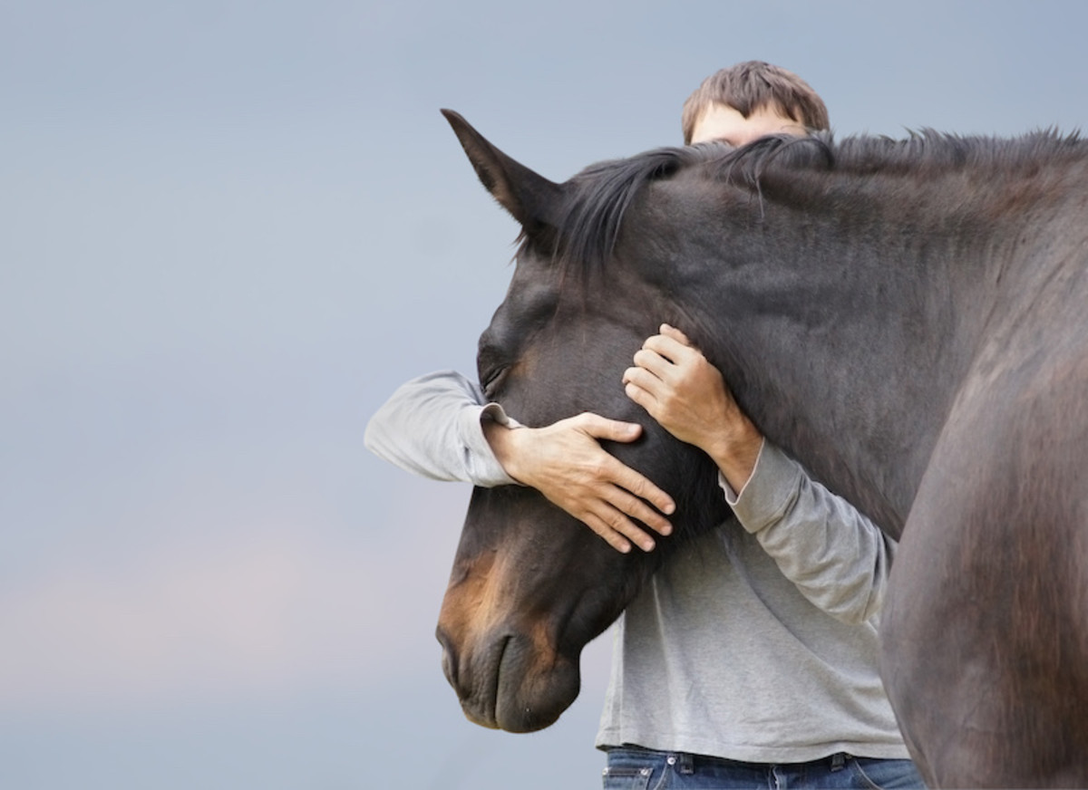 You Are Going To Die; What Happens To Your Horse When You Do? - Paulick ...