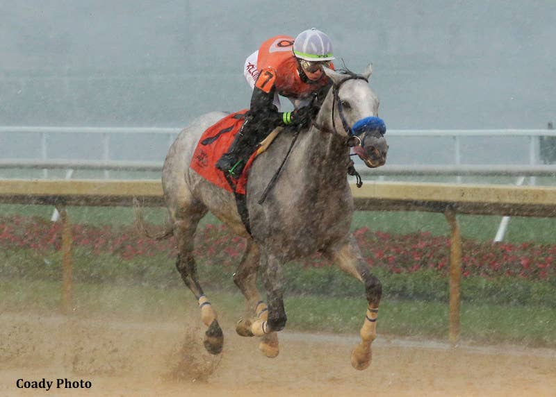 Piedi Bianchi Splashes Into Indiana History With Victory In Cardinal ...