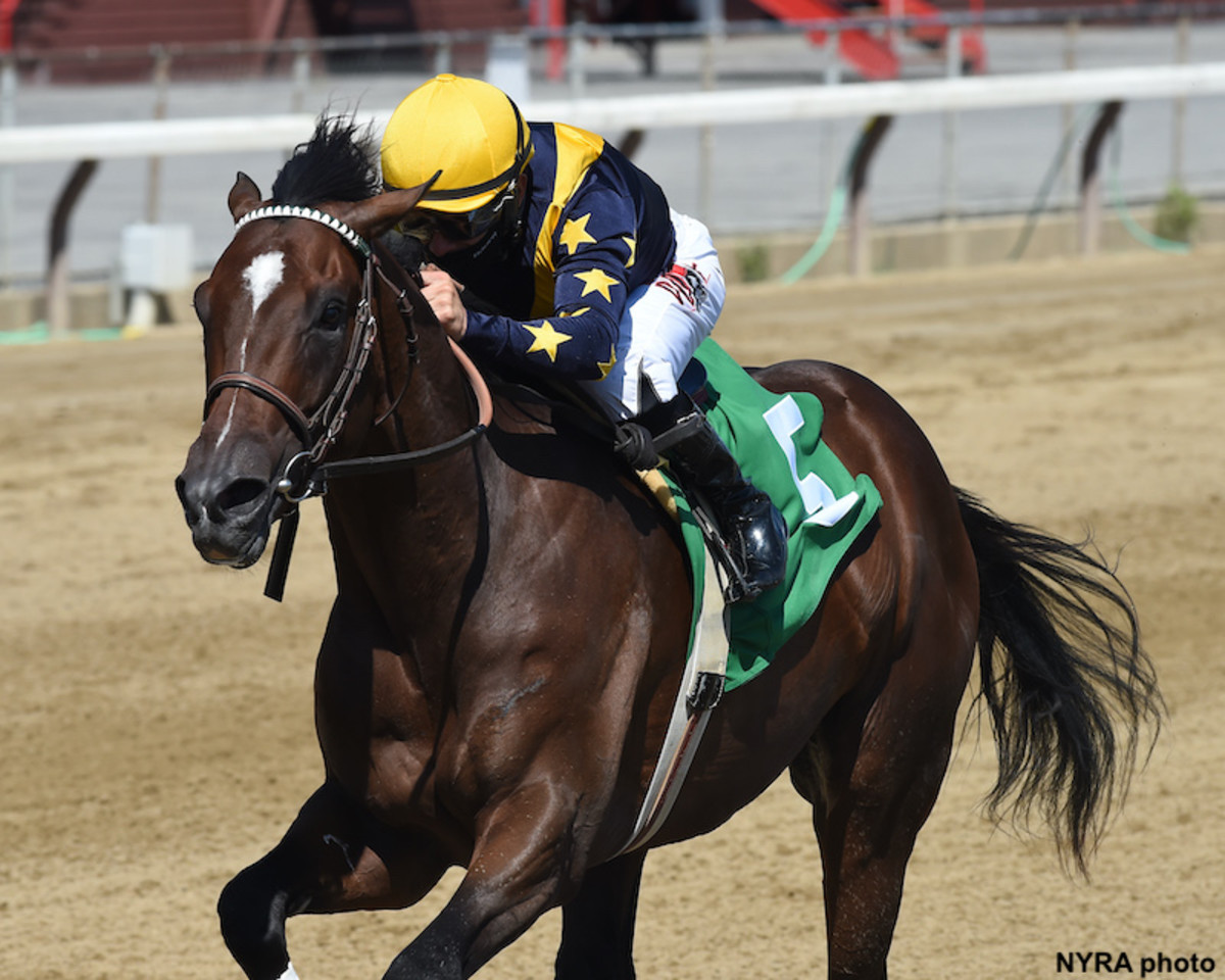 Equibase Analysis: Olympiad Should Get The Gold In Cigar Mile - Paulick ...