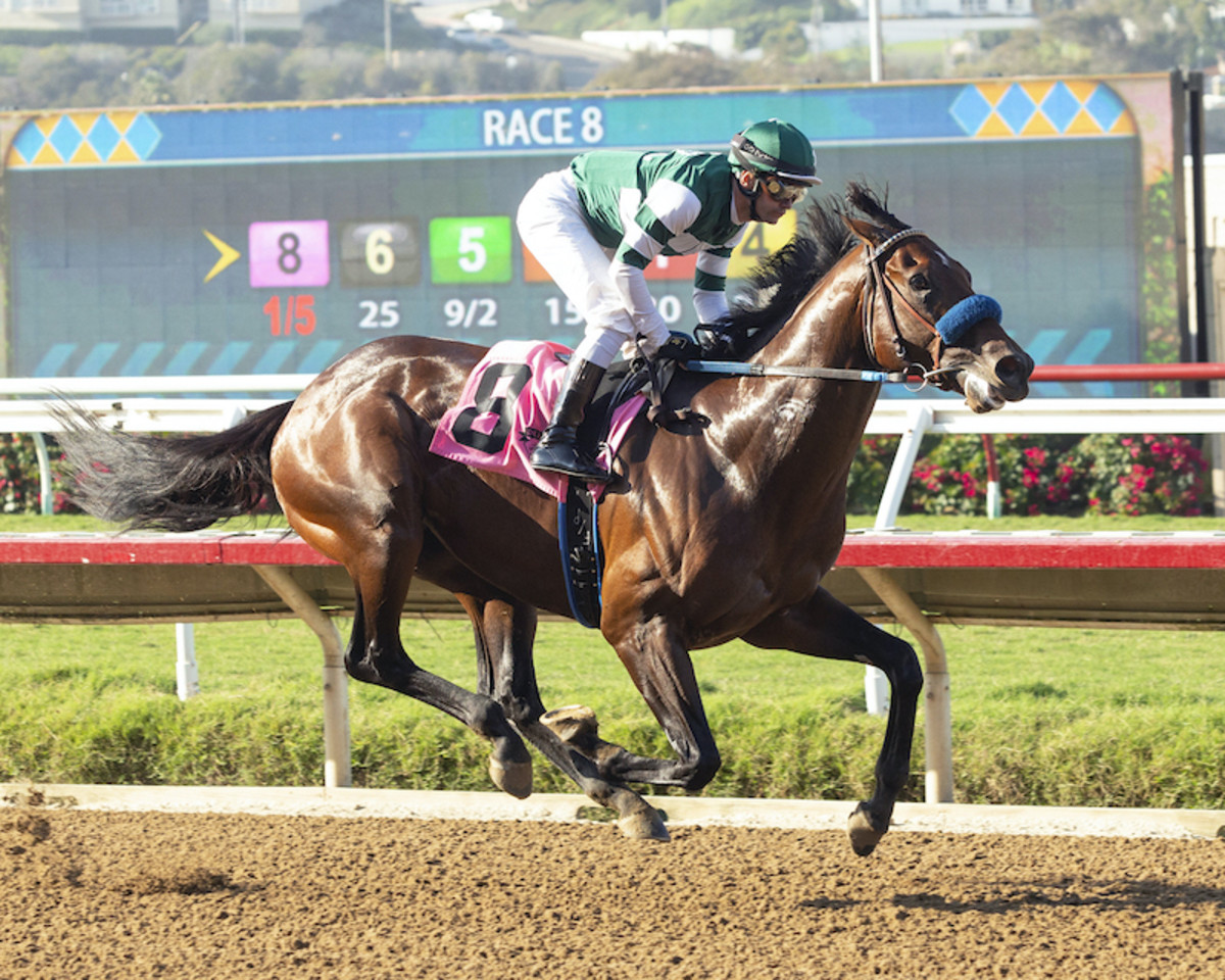 Flightline Breezes Bullet Five Furlongs At Del Mar - Paulick Report ...