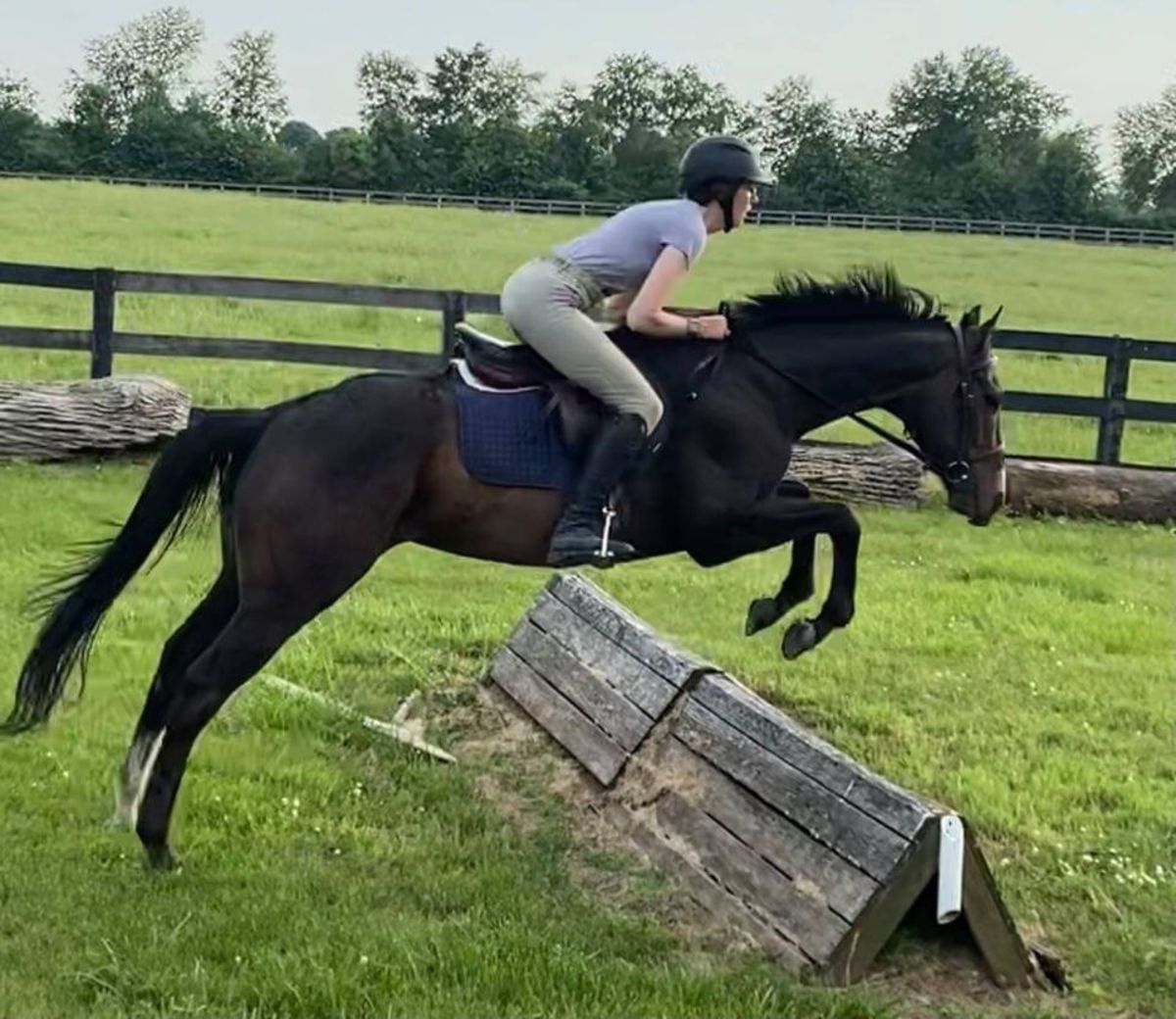 Retired Racehorse To Again Compete In Sagamore Farm Silks - Paulick ...