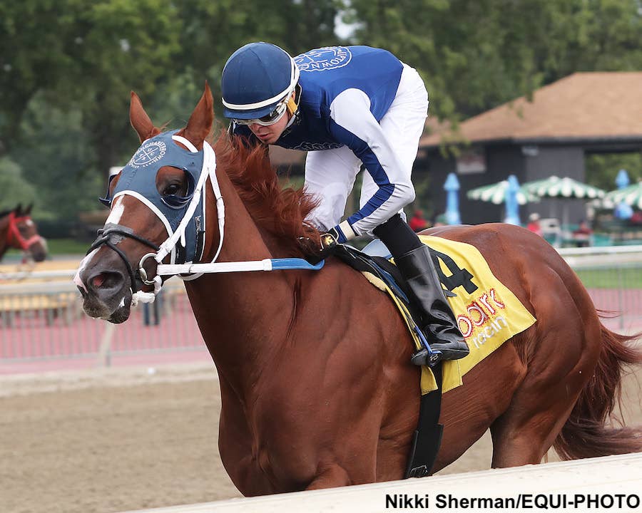 Pennsylvania Leaderboard Presented By Pennsylvania Horse Breeders ...