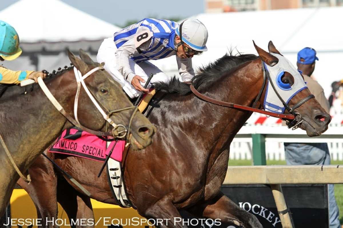 Alternation Relocates To Darby Dan Farm For 2022 Breeding Season ...