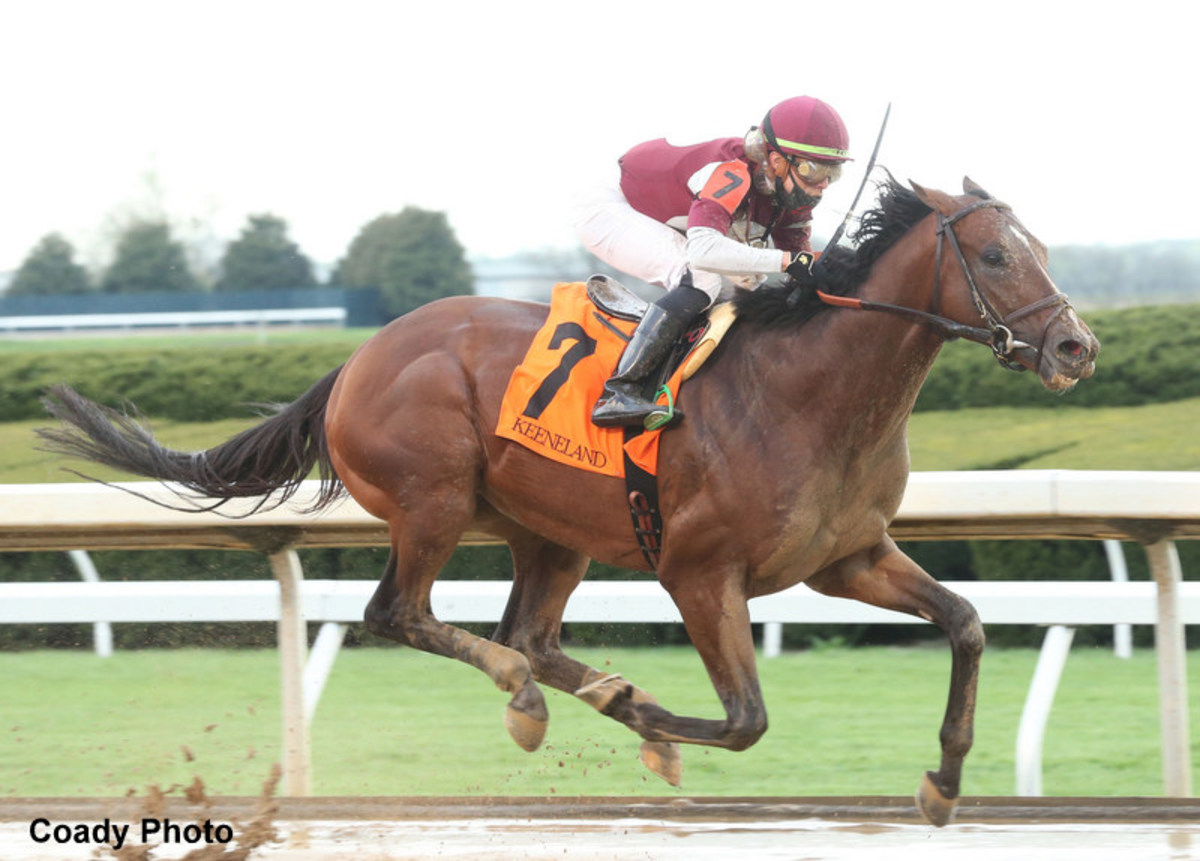 Half-Brother To Justify, Stage Raider Impresses In The Slop At ...