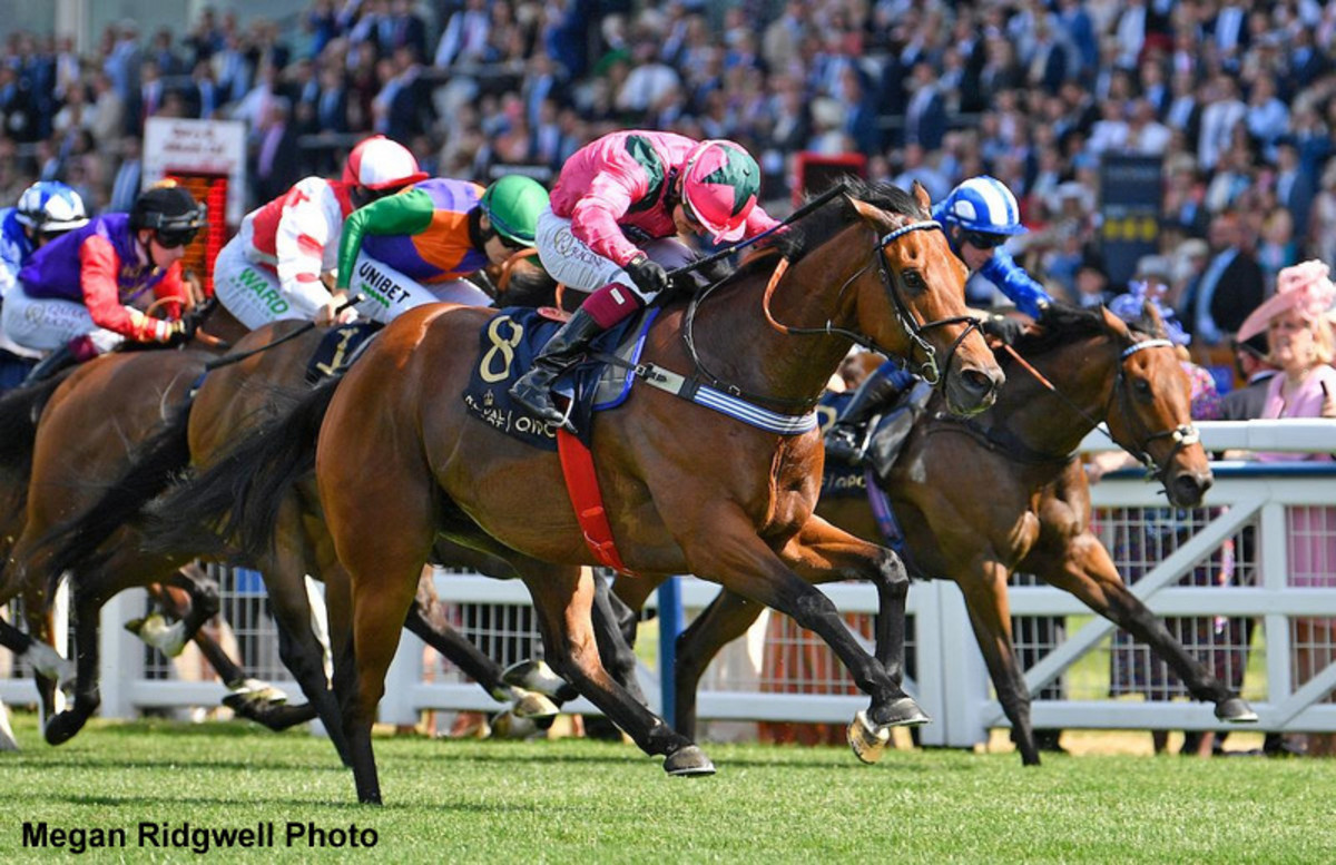 Oxted Displays Powerful Finish In King's Stand; American-Trained ...