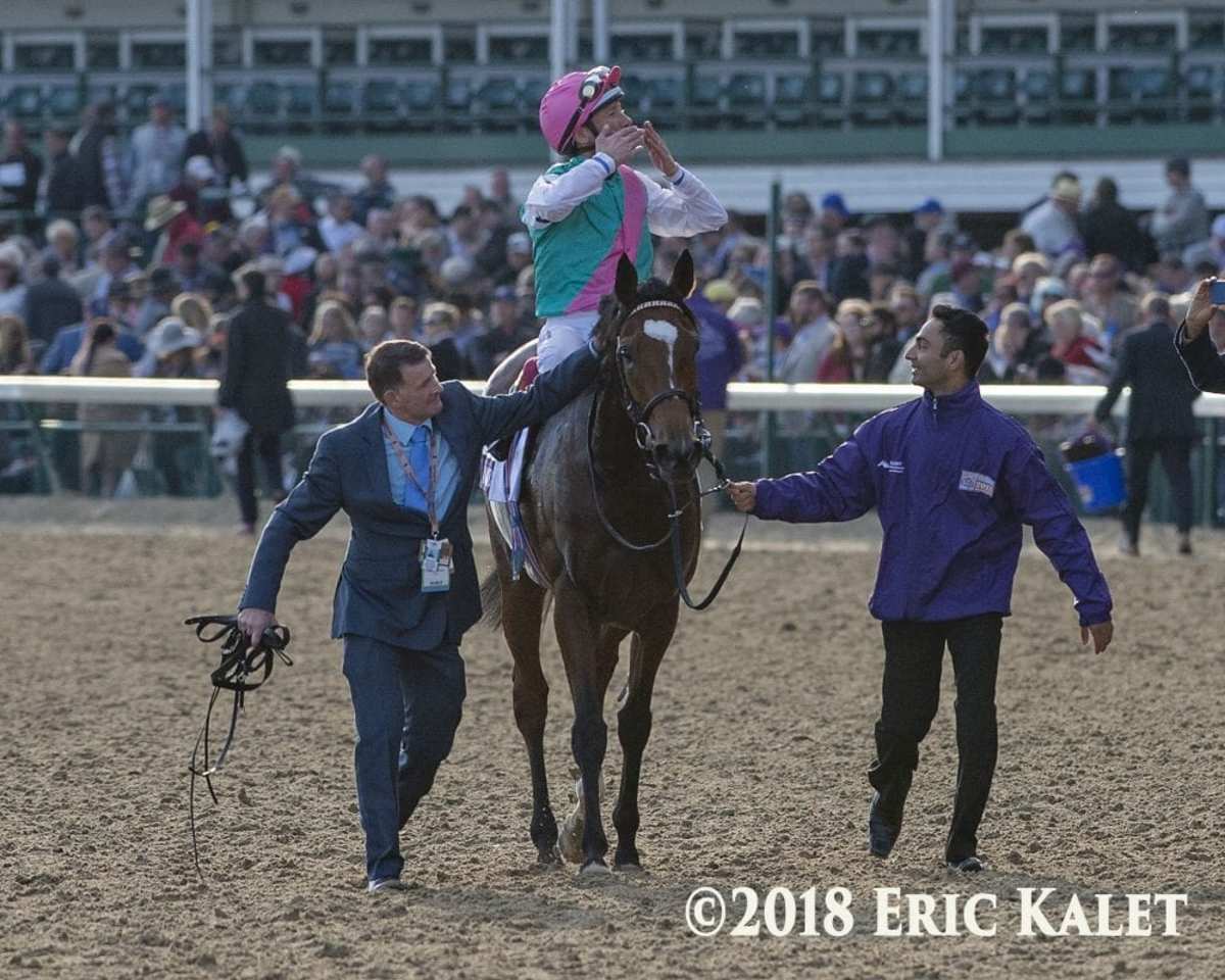 juddmonte enable foal