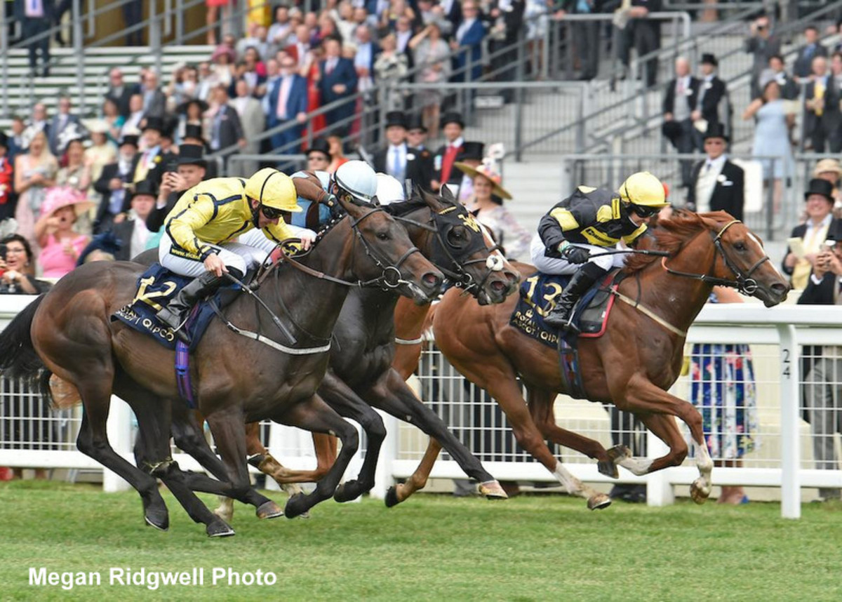Bloodlines: Northern Dancer's Sprinting Lines Shine At Royal Ascot ...