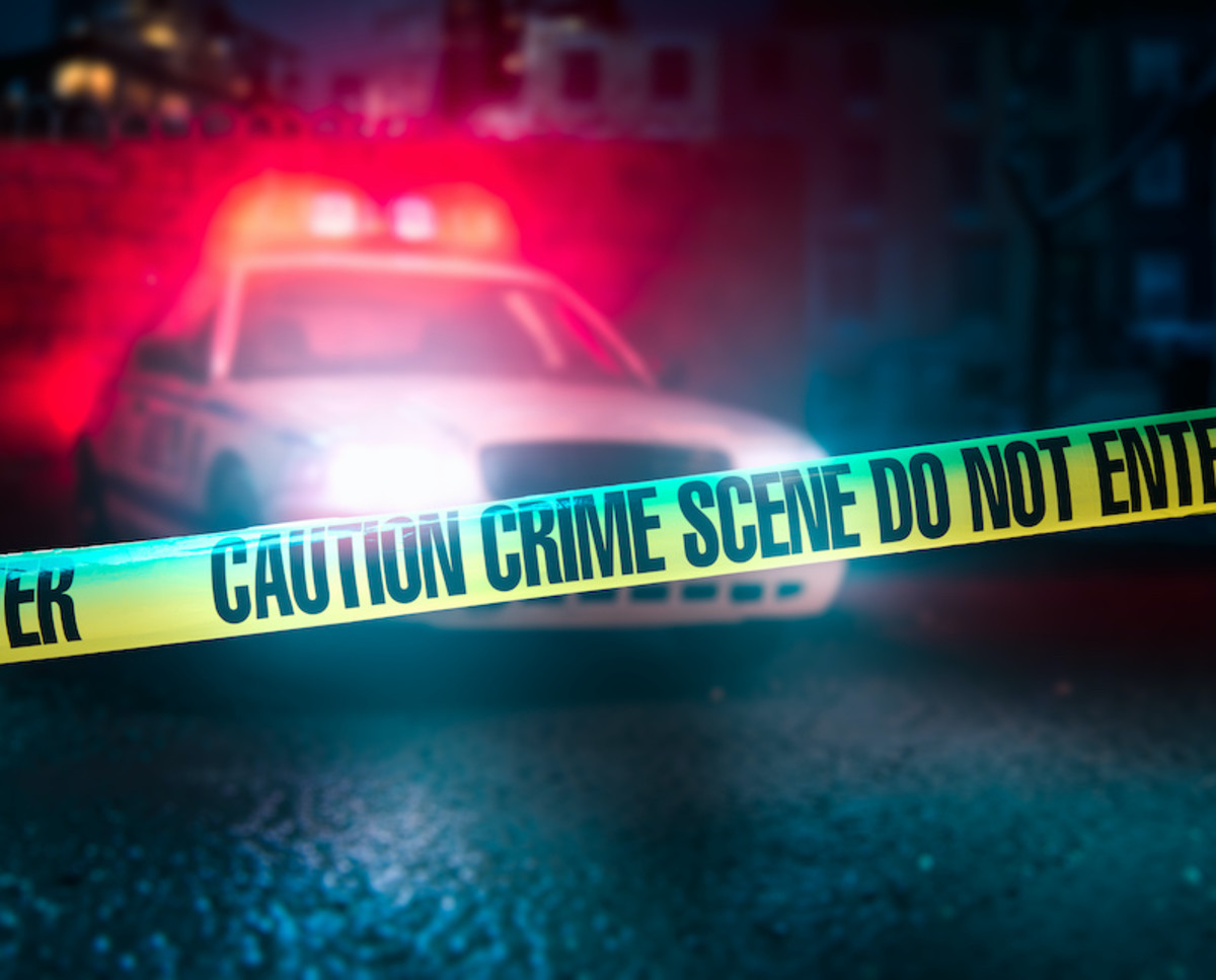 The Friday Show Presented By Woodbine: Colorado Test Barn Caper ...