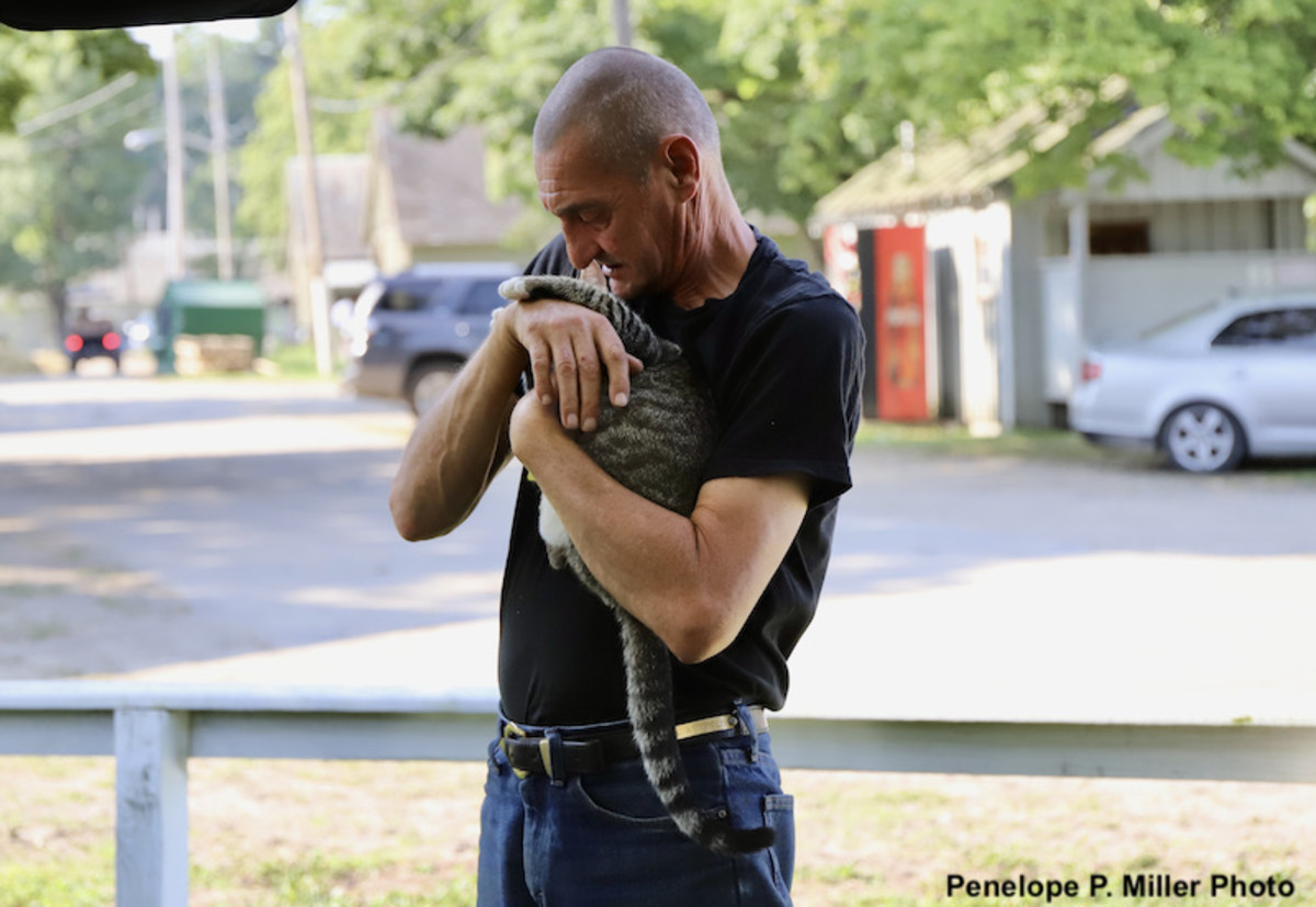 'Somebody's Looking Down From Above': Colt Named For Late John Attfield ...