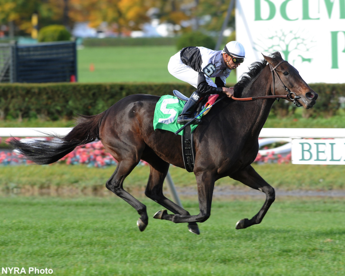Lesson Horses Presented By John Deere Equine Discount Program: Craig ...