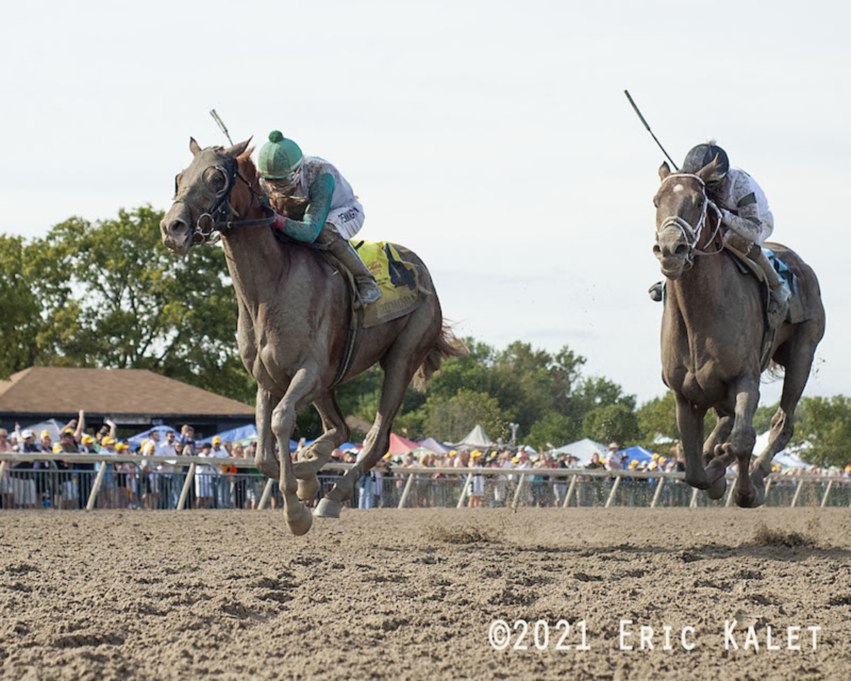 Magic Michael Proves To Be Horse For The Course In Parx Racing's ...