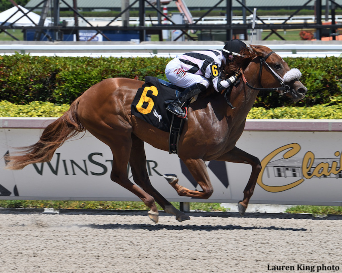 'It's Wonderful' As Fans Return To Gulfstream Apron; Saturday's Rainbow ...