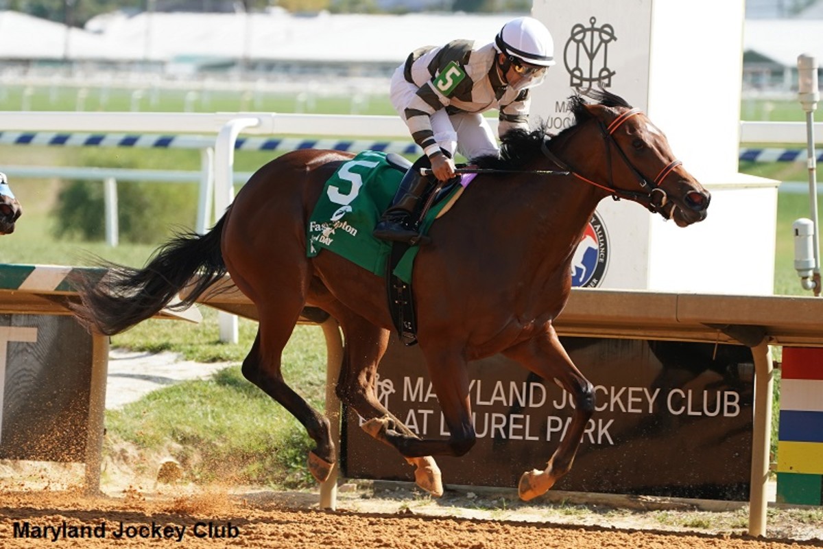 Buff Hello, Buff My Boots Lead List Of Nominees For Pair Of Maryland ...