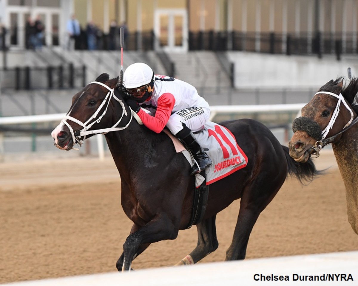 Lobsta Outfinishes My Boy Tate To Upset NYSSS Thunder Rumble - Paulick ...