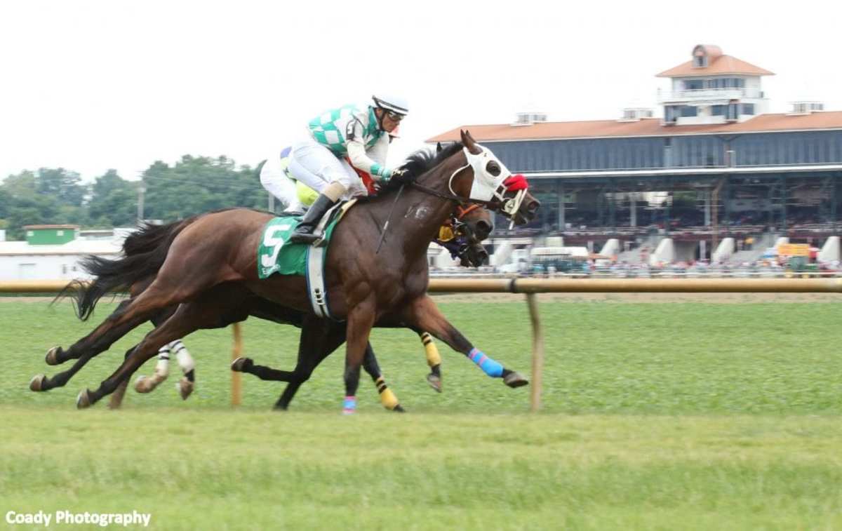 Pair Of Stakes Races Added To Ellis Park's 2021 Racing Season - Paulick ...