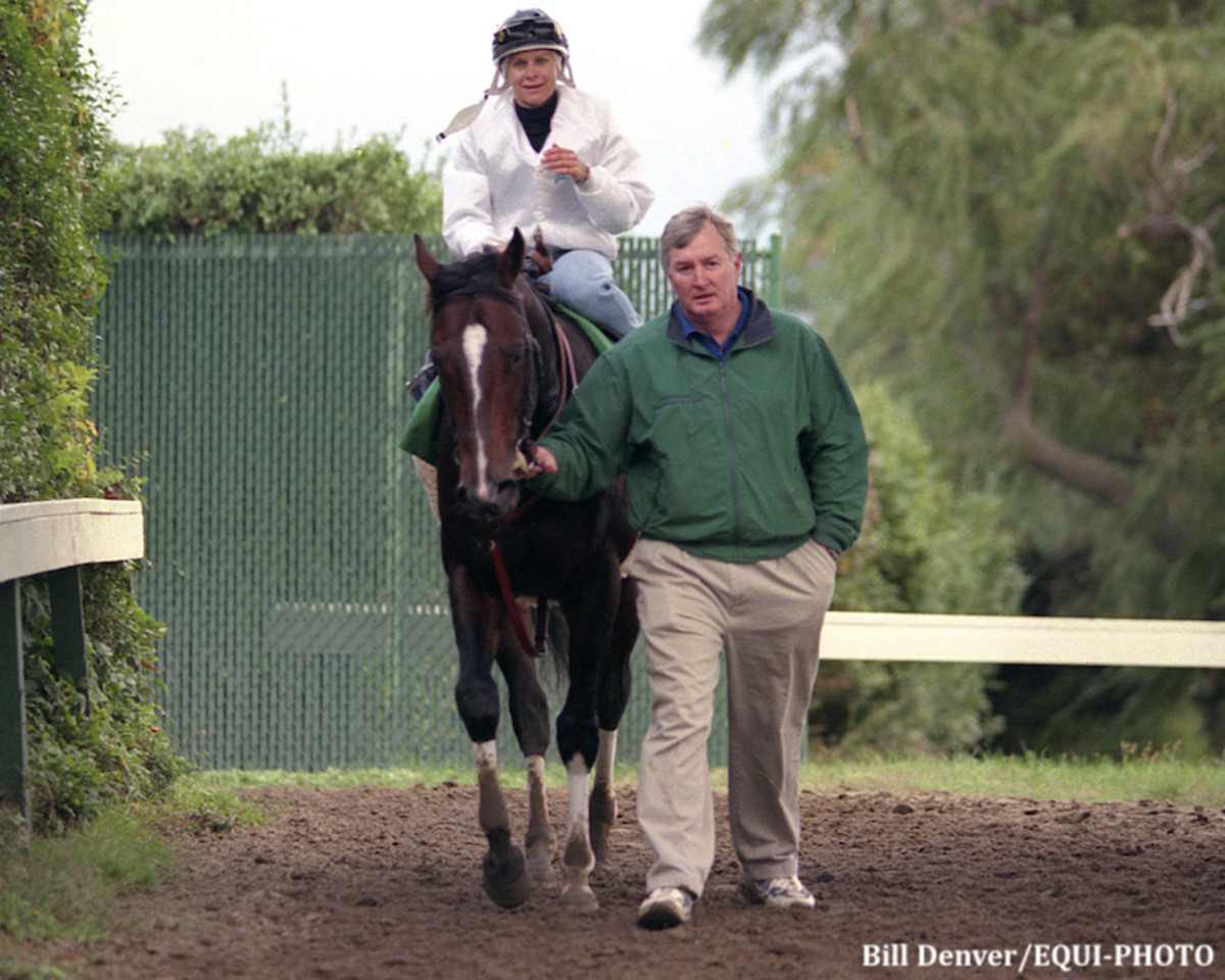 'Very Much Part Of The Family': Tale Of The Cat Dies At Age 30 ...