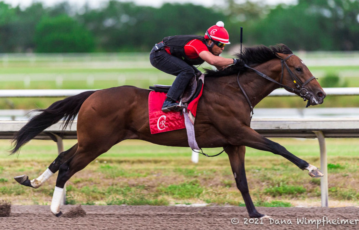 Julien Leparoux To Ride Helium In Kentucky Derby - Paulick Report ...