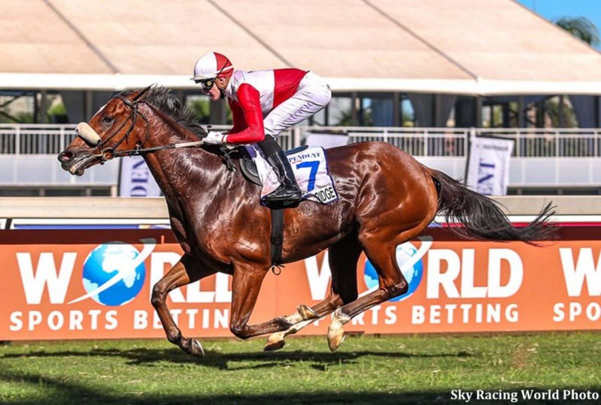 South Africa: Trainer Snaith Chasing Fourth Straight Win In Historic ...