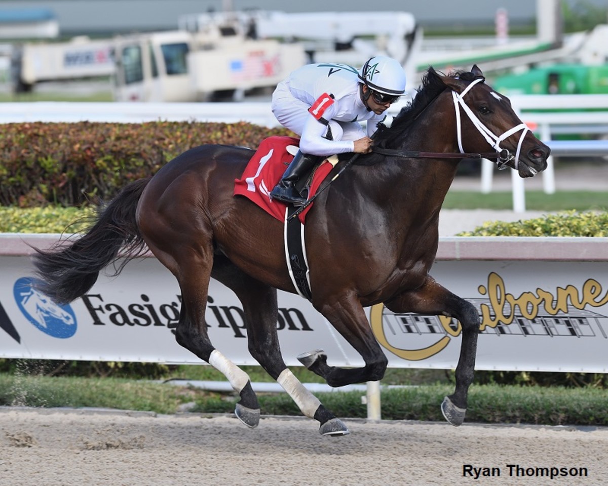 Pletcher Sends Out Pair Of Debut Winners At Gulfstream - Paulick Report ...