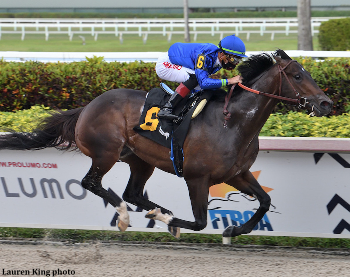 'The Race Will Do The Deciding': Undefeated, Untested Prevalence Headed ...