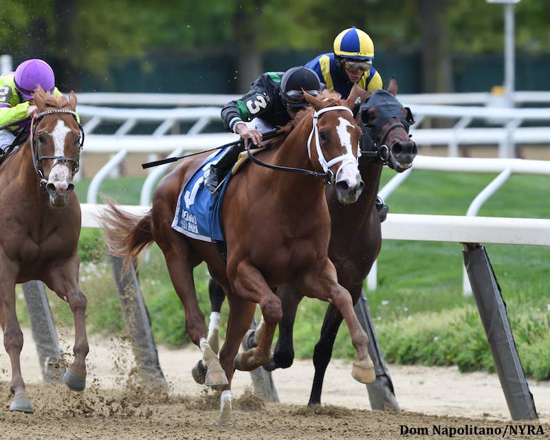 King Fury Resurfaces In Ohio Derby, Facing Promise Keeper, Nine Others ...