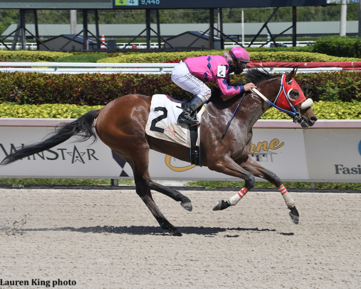 Ghostzapper Success A First In Graded Stakes For Eye Of A Jedi, Owner ...