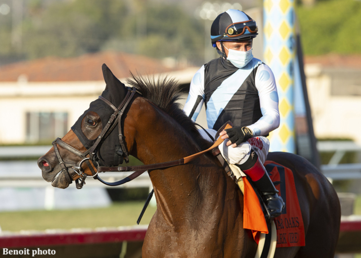Equibase Analysis: Red Lark Appears The One To Beat In Buena Vista ...