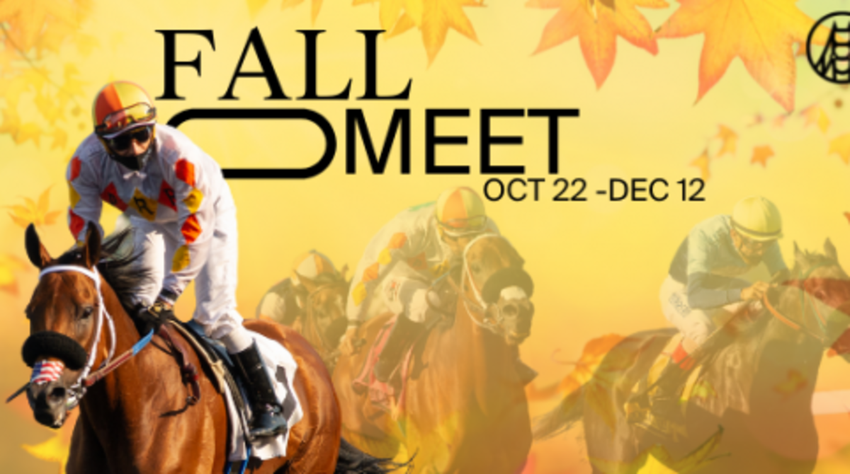 Ten Stakes Races Highlight Fall Meet At Golden Gate Fields - Paulick ...