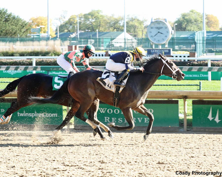 Graded Stakes Performer Gold Standard, Half-Sister To Zaajel Added To ...