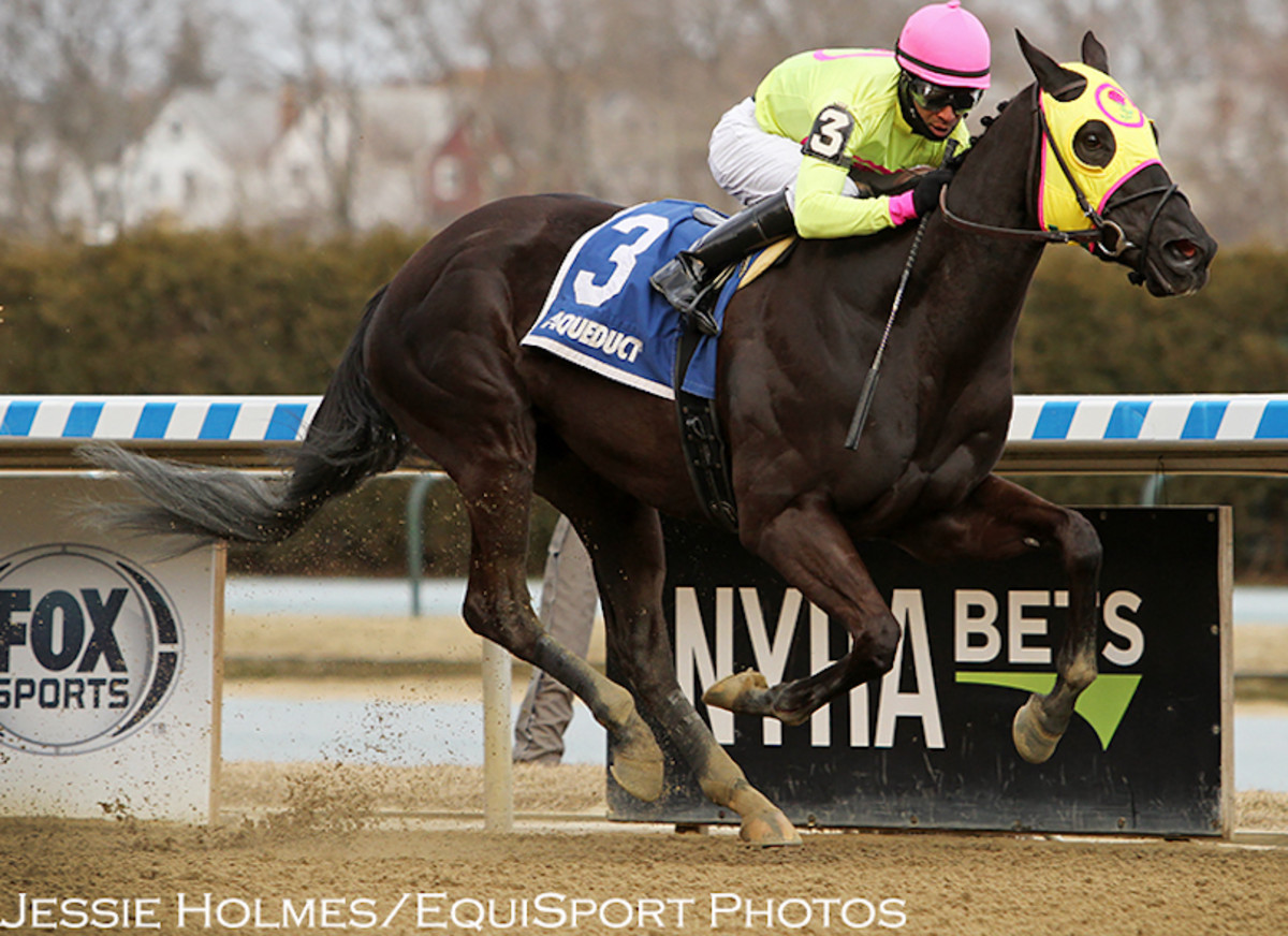 6-Year-Old Chateau Makes Graded Stakes Debut Winning One In Tom Fool ...