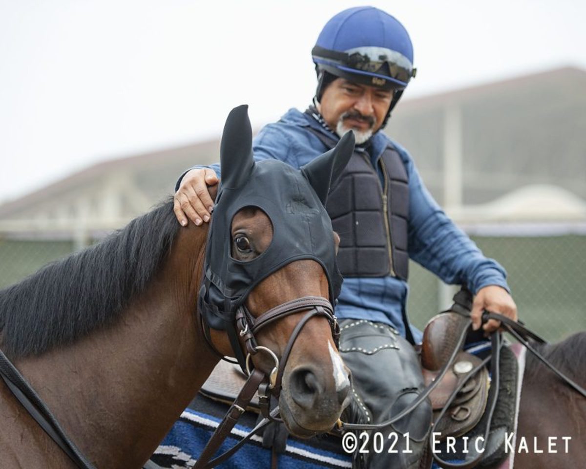 Breeders' Cup Notes: Aloha West Flying In 'Under The Radar,' Bella ...