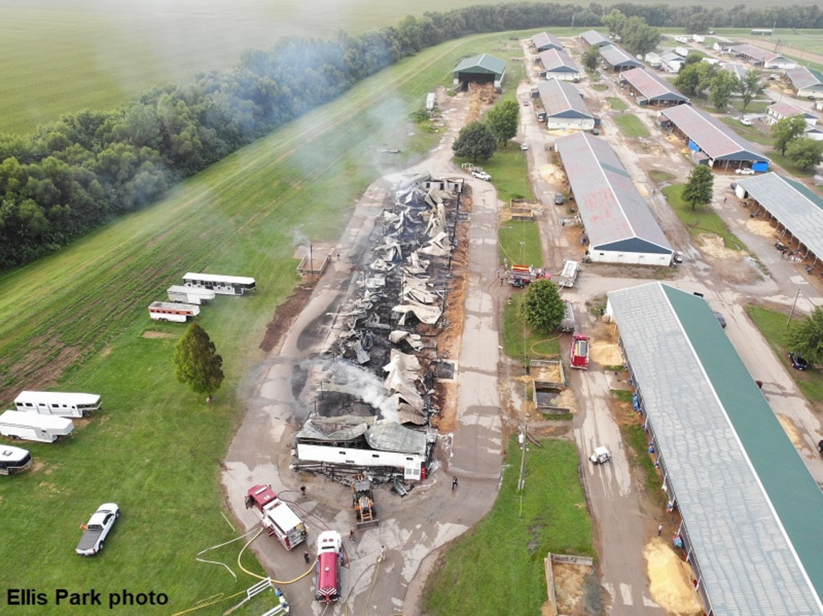 Ellis Park Cancels Training, Sunday Card After Overnight Barn Fire ...