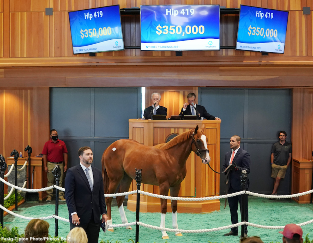 Fasig-Tipton New York-Bred Yearling Sale Improves Across The Board In ...