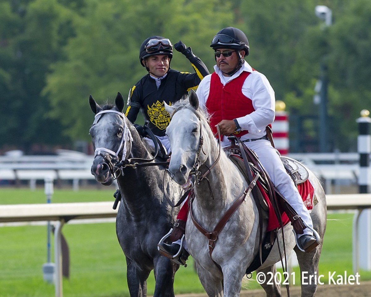 Knicks Go Gets 111 Beyer Speed Figure For Whitney Win - Paulick Report ...