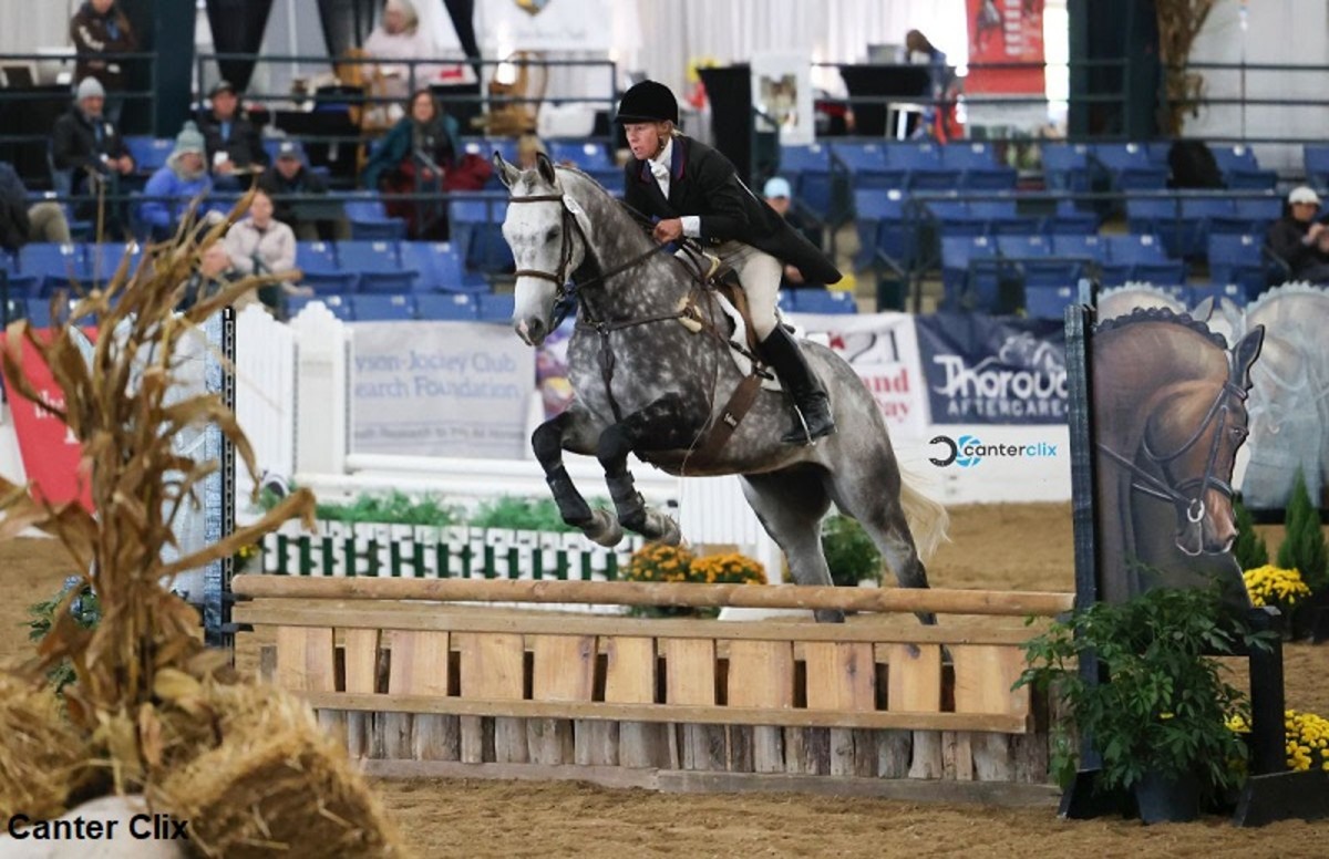 Forthegreatergood, Laura Sloan Win 2021 Thoroughbred Makeover Champion ...