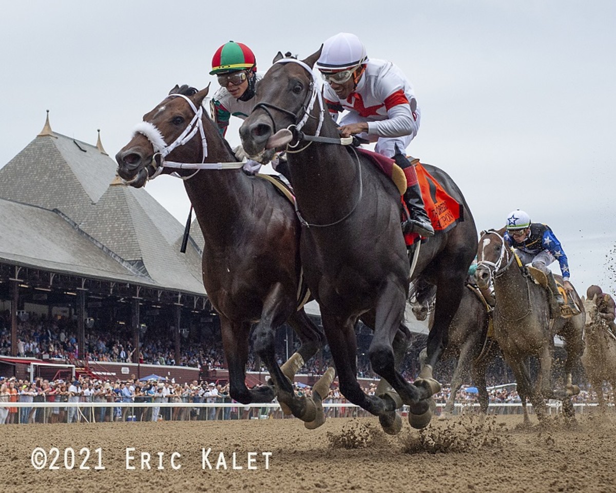 Forego Winner Yaupon To Stand At Spendthrift Farm Upon Retirement ...