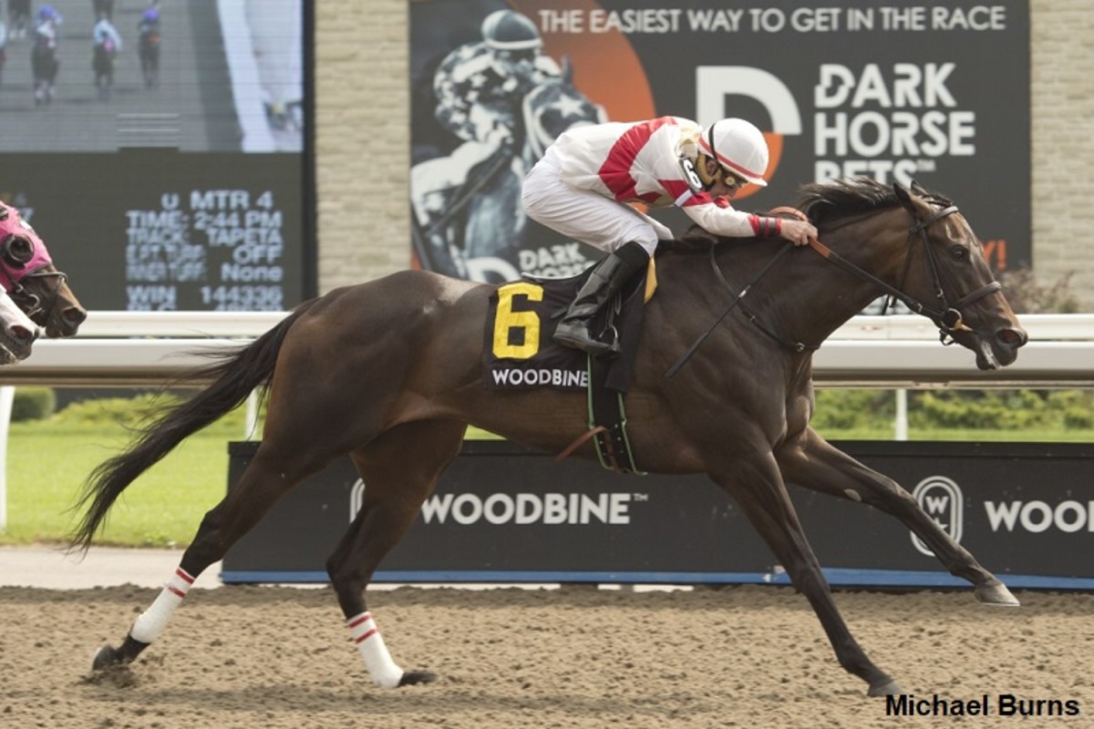 Four Canadian Bred Stakes Highlight Canadian Thoroughbred Horse Society ...