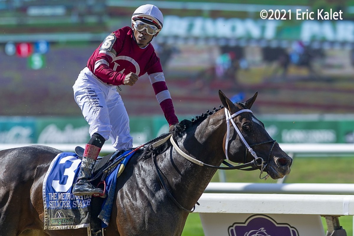 Claiborne Farm Sets Silver State's Debut Fee At $20,000 - Paulick ...