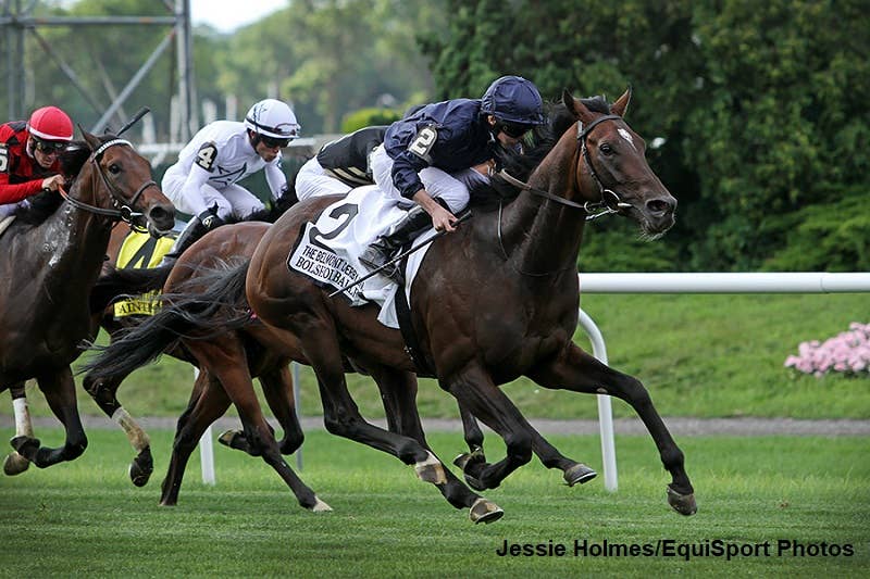 Horse Ballet