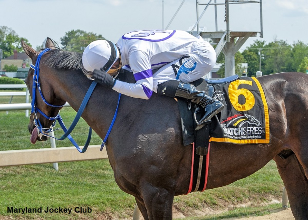 Harpers First Ride Repeats In Deputed Testamony At Pimlico - Paulick ...