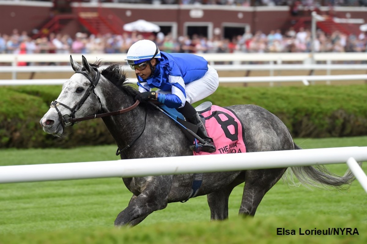 Althiqa Gets Diana Win Over Stablemate Summer Romance, Scores 101 Beyer ...