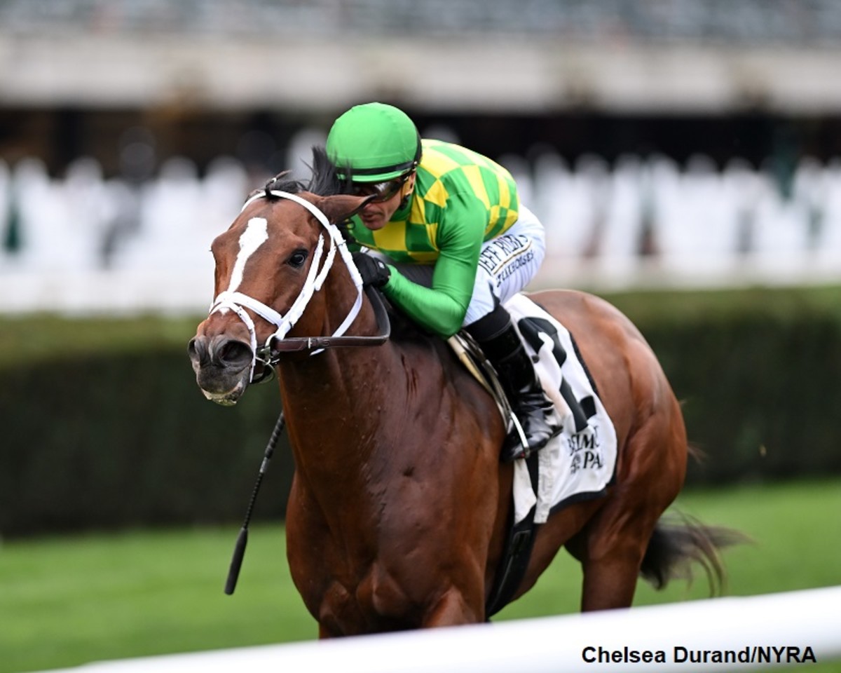 Shamrocket Earns First Stakes Victory In Point Of Entry - Paulick ...