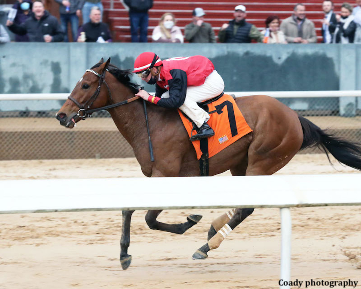 'Special' Frank's Rockette Returns To Gulfstream For Saturday's Sugar ...
