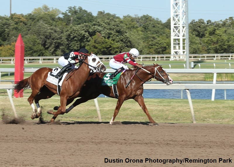 Concept Headlines Field Of Nine For Clever Trevor At Remington ...