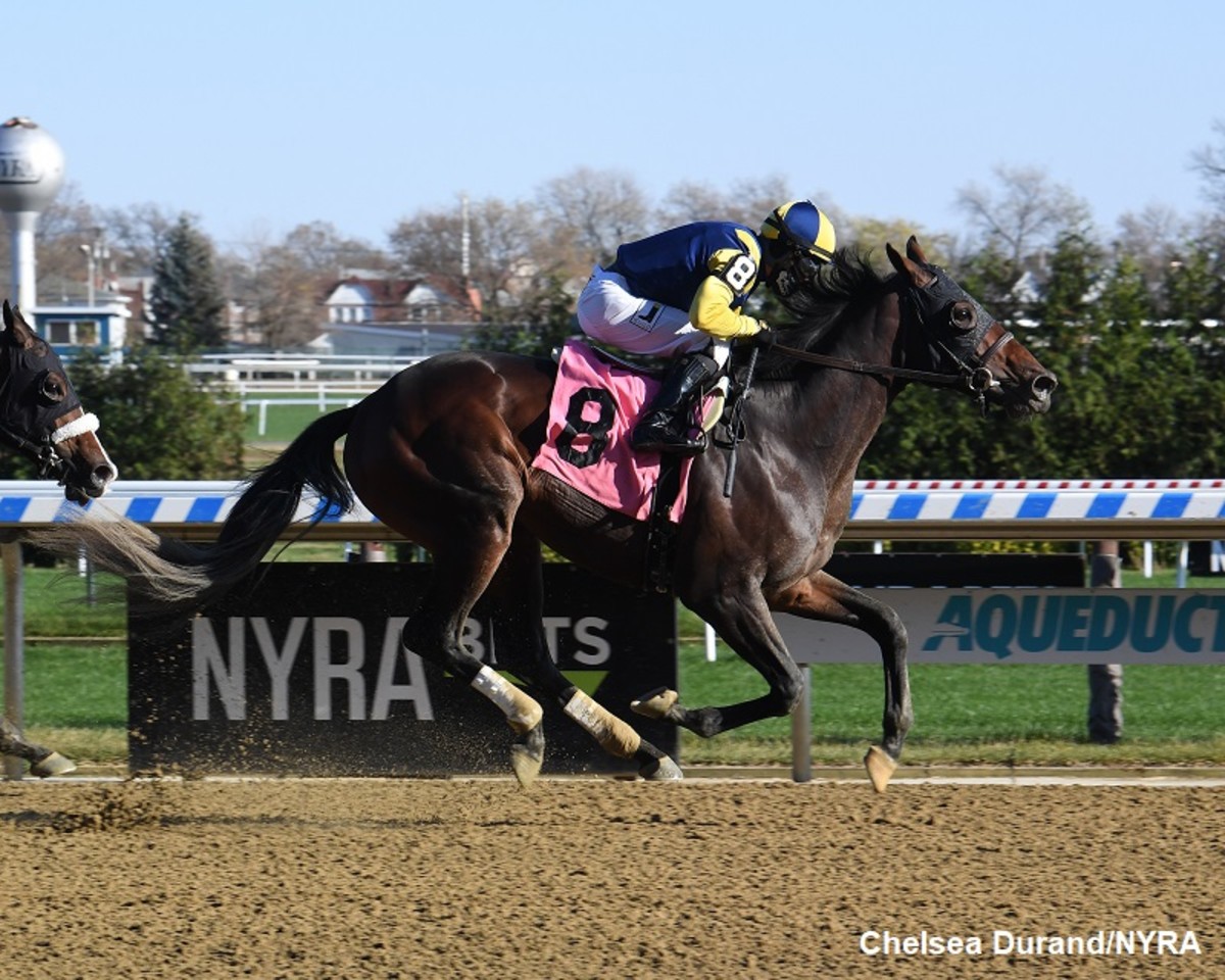 Albertrani Gets Win With Wolfie's Dynaghost, Prepares Sadler's Joy For ...