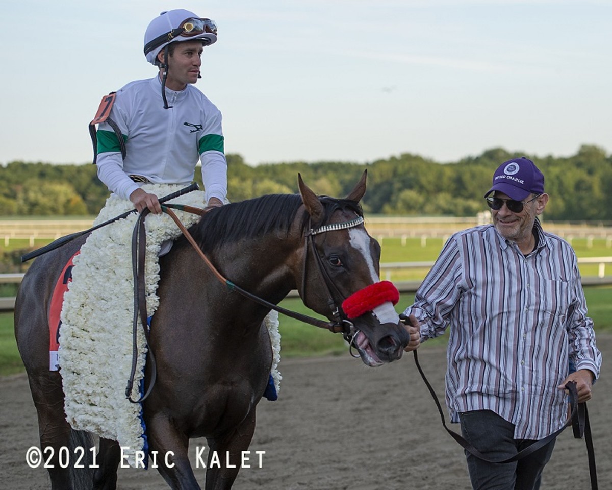 Owners Head To Dubai To Cheer On Hot Rod Charlie In His Meydan Debut ...