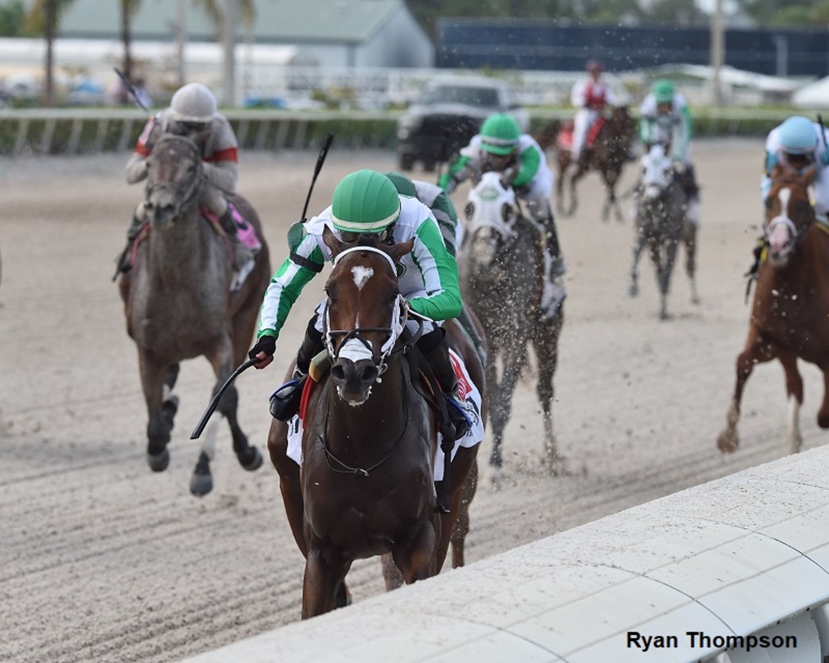 Octane Powers To Victory In Affirmed At Gulfstream - Paulick Report ...