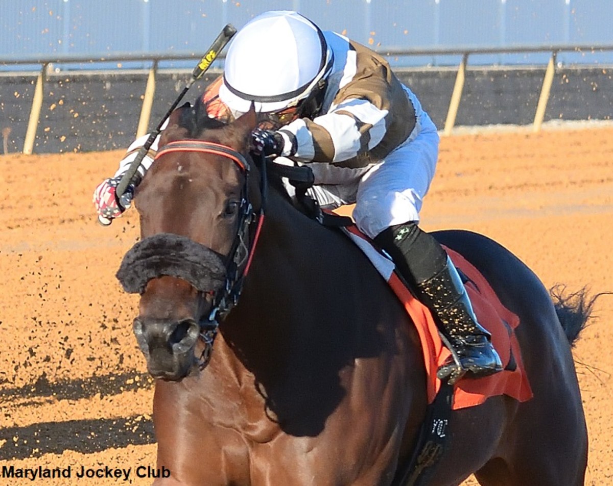 Local Motive Goes Wide, Battles Late To Take James F. Lewis - Paulick ...