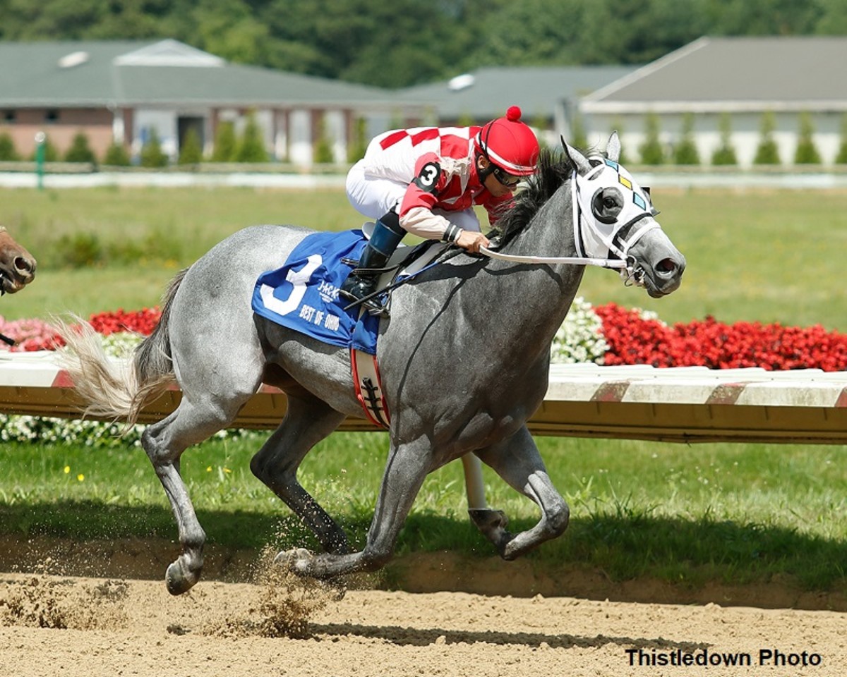 Thedayofthegrey, Pacific Coast Win Ohio Thoroughbred Race Fund Stakes ...