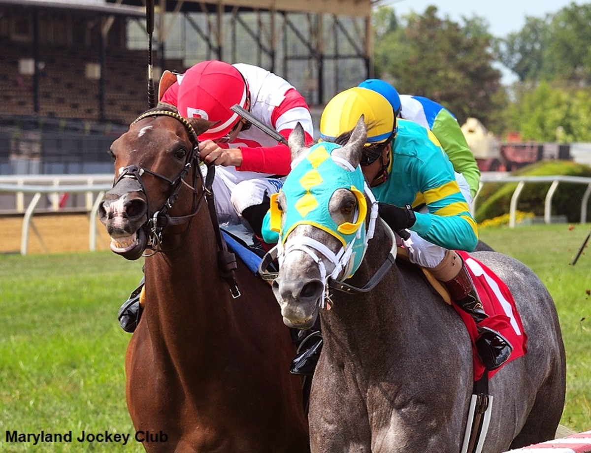 Millionaire Field Pass Gets Class Relief In Find Stakes At Laurel Park ...